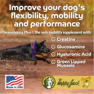 Happy Jack Flexenhance Dog Hip and Joint Supplement with Skin & Coat Support Plus (80 Chewable Tabs), Improve Flexibility & Mobility, Glucosamine, Green Lipped Mussel, Fish Oil