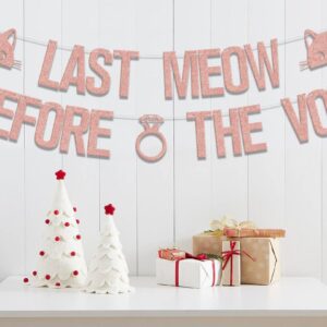 Last Meow Before the Vow Banner, Cat Themed Bachelorette Party Decorations, Bridal Shower Engagement Party Decorations, Hen Wedding Party Supplies Rose Gold