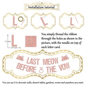 Last Meow Before the Vow Banner, Cat Themed Bachelorette Party Decorations, Bridal Shower Engagement Party Decorations, Hen Wedding Party Supplies Rose Gold