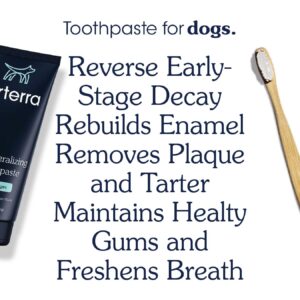 Remineralizing Dog Toothpaste – Vet-Grade, with Nano-Hydroxyapatite, Reverses Early-Stage Decay, Cleans Teeth, Reduces Tartar, Freshens Breath by Arterra Pet Science, Plant-Based, Natural Flavor, 4oz