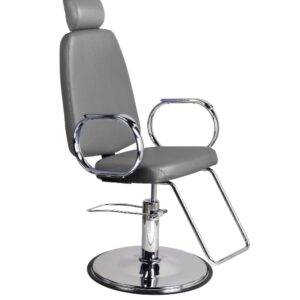 AmeriCan Goods Professional Dental Patient Exam & X-Ray Chair Deluxe Quality 360° Swivel, Adjustable & Removable Headrest Stool (Graystone)