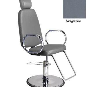 AmeriCan Goods Professional Dental Patient Exam & X-Ray Chair Deluxe Quality 360° Swivel, Adjustable & Removable Headrest Stool (Graystone)