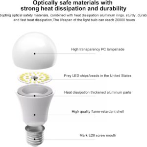 realmoon Full Spectrum Sun Light Bulb - A19 9W, Boosts Energy, Mood & Performance, Near-Perfect Color Rendering, Imitate Sunlight Indoors for a Happy Life, American Pry LED Beads,CRI of 98+