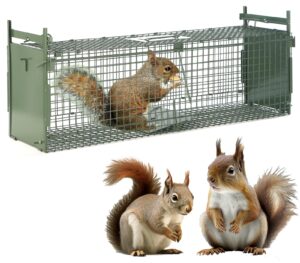 26" 2-door live animal traps for stray cats up to 5.5 pounds, raccoons, squirrel, skunk, mole, groundhog, armadillo, rabbit, with pedal triggers