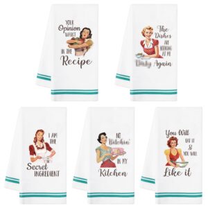 r horse 5pcs kitchen dish towel funny joked themed dishcloth absorbent dish tea towel retro sassy lady kitchen towel bar hand dishcloth hilarious hand towel gift for hostess mom women housewarming