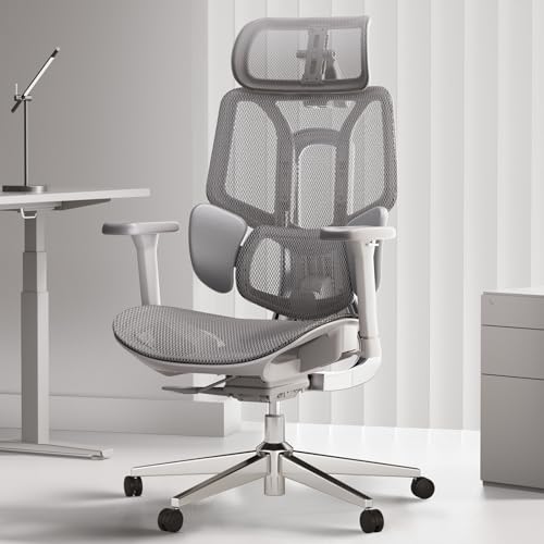 Hbada E3 Air Ergonomic Office Chair, Big and Tall Office Chair - with 3-Zone Dynamic Lumbar Support, 3D Adjustable Headrest, 3D Adjustable Armrests, Swivel Computer Chair, Grey(No Footrest)