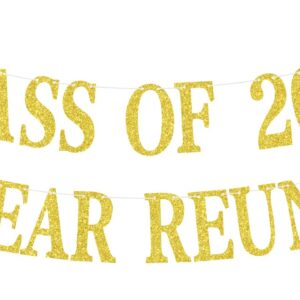 Happy 20th Anniversary Banner, Class of 2004, 10 Years Later, Class Reunion Party Decorations Gold Glitter