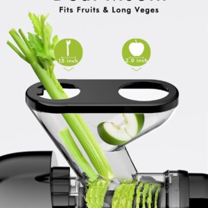 SiFENE Cold Press Juicer Machine, Compact Single Serve Slow Masticating Juicer, Vegetable and Fruit Juice Extractor Maker Squeezer, Easy to Clean, Non-BPA (Black)