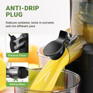 AMZCHEF Whole Fruit Juicer Machines, 80MM Large Feeding Chute Slow Masticating Juicer, Powerful Cold Press Juicers with Upgrade Auger, Double-Layer Filter, Retro Toggle Switch (Light black)