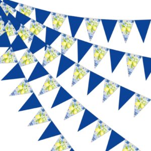 blue and lemon party decorations - 3pcs lemon bunting banners, lemonade hanging triangle banner garland for lemon wedding engagement bridal shower bachelorette baby shower birthday party