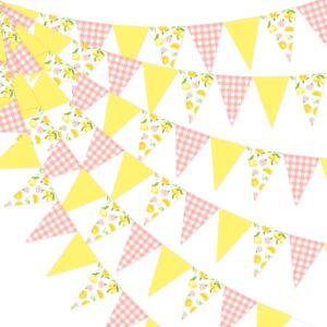 lemon party decorations - 3pcs lemon bunting banners, pink and yellow lemon triangle banner garland for lemonade wedding engagement bridal shower bachelorette baby shower birthday party decor