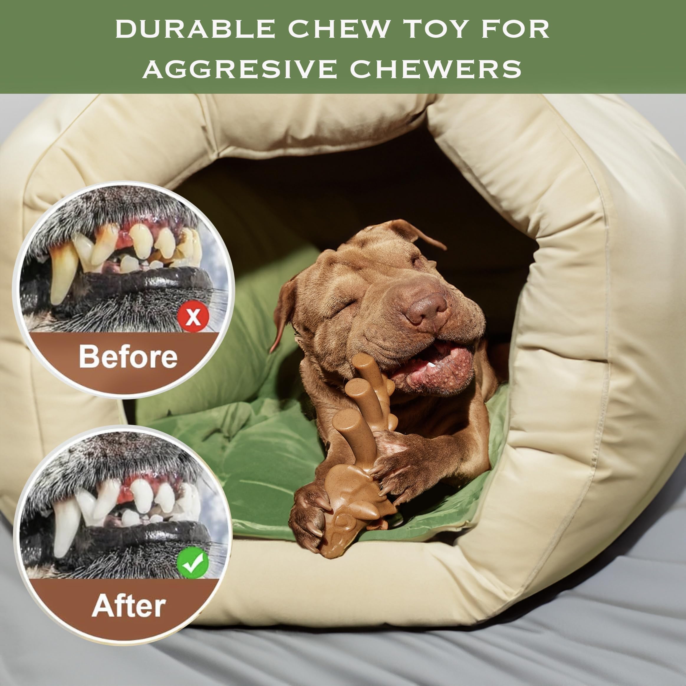 Durable Dog Chew Toy for Aggressive Chewers, Dinosaur Shape, Medium, Beef Flavor.