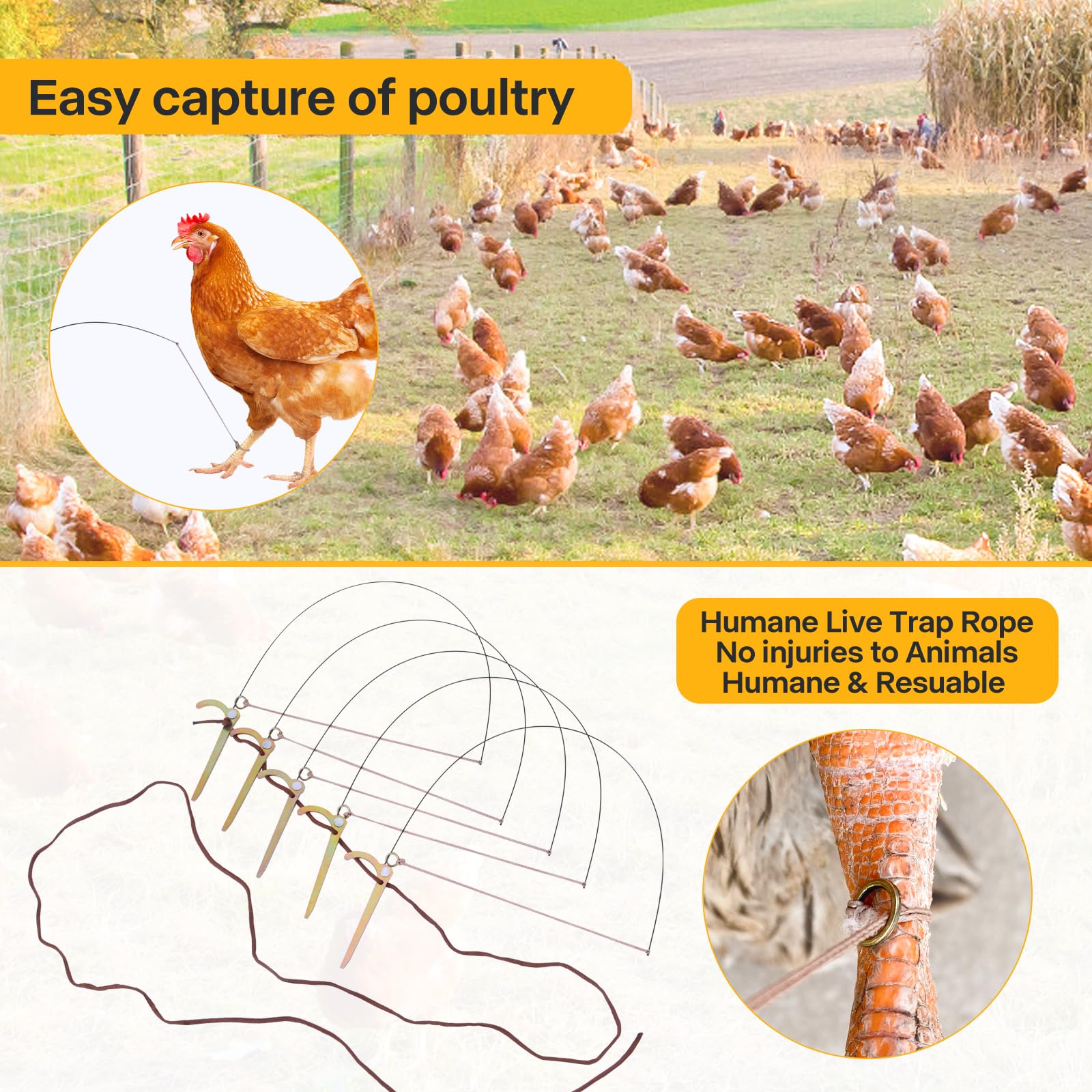 Professional Bird Trap Hunting Trap for Birds Bird Trap for Chicken, Pheasant，Wild Duck, Partridge Mallard and Other Birds Tying Birds' feet Won't Hurt Them