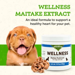 Animal Essentials Wellness Maitake Mushroom Supplement for Dogs & Cats - Healthy Immune Response, Supports Circulatory Function, Critical Immune Defense, Mushroom Powder Extract - 2.8 Oz (Pack of 1)