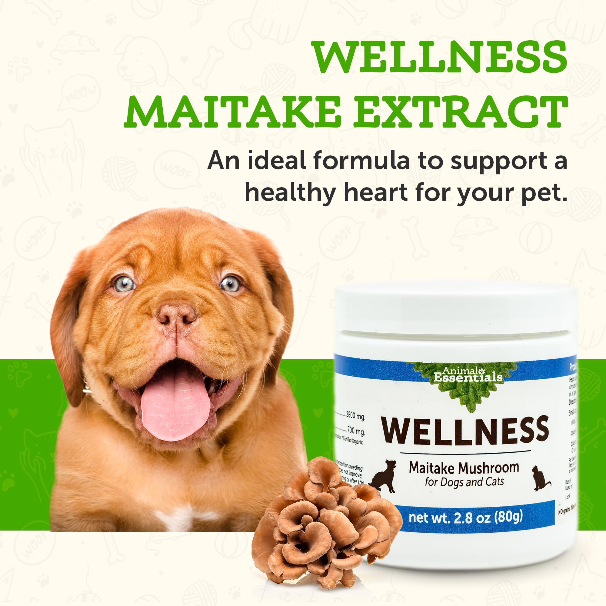 Animal Essentials Wellness Maitake Mushroom Supplement for Dogs & Cats - Healthy Immune Response, Supports Circulatory Function, Critical Immune Defense, Mushroom Powder Extract - 2.8 Oz (Pack of 1)