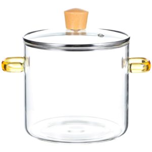 ganazono glass cooking pot glass stovetop pot clear pot glass cookware glass saucepan 2300ml