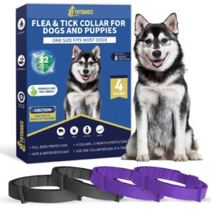 4 pack flea collar for dogs, flea and tick collar for dogs puppies, 32 months flea and tick prevention for dogs, dog flea collar, dog flea and tick treatment-black and purple