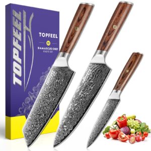 damascus kitchen knife set 3 pcs, ultra sharp chef knife set with japan vg-10 steel core, professional high carbon steel japanese knife sets for cooking with ergonomic wooden handle & gift box