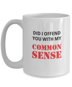 did i offend you with my common sense mug, novelty coffee mug, gag gift for co workers, funny cup, joke, unique