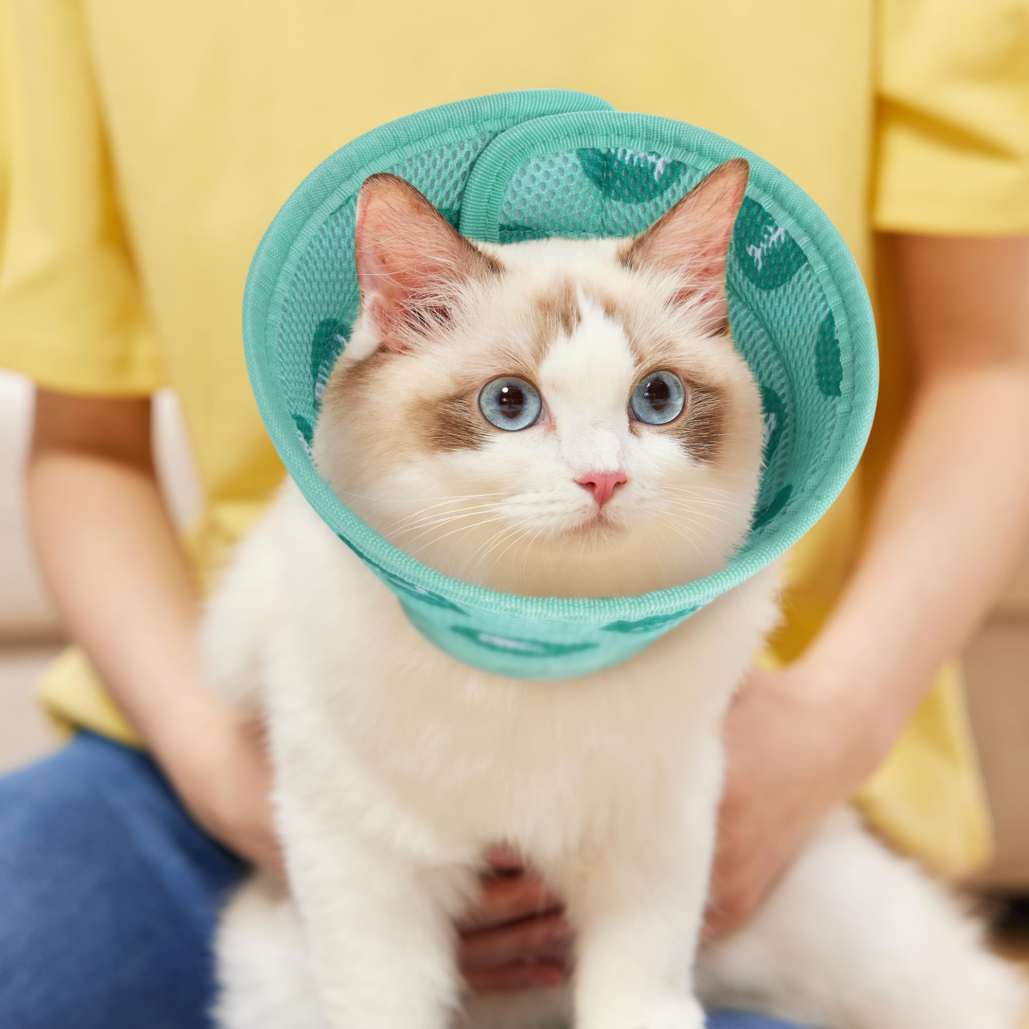 Ledander Soft Cat Cones After Surgery Tall, Cat Recovery Collars & Cones, Cat Neck Cone Alternative Elizabethan Collar for Cats After Surgery Anti-Bite Lick Wound Healing（Green，S）