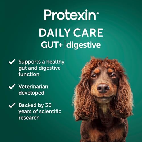 Protexin Daily Care Gut+ Digestive, 60 probiotic and postbiotic Dog Supplement Chews – Chicken and Carob Flavored