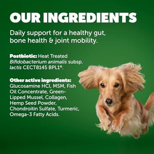 Protexin Daily Care Gut+ Mobility, 60 postbiotic Dog Supplement Chews – Chicken and Bacon Flavored