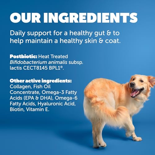 Protexin Daily Care Gut+ Skin & Coat, 60 postbiotic Dog Supplement Chews – Salmon and Sweet Potato Flavored