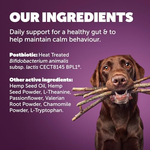 Protexin Daily Care Gut+ Calming, 60 postbiotic Dog Supplement Chews – Trout and Kale Flavored