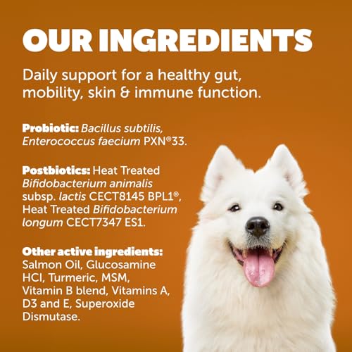 Protexin Daily Care Gut+ Wellness, 60 probiotic and postbiotic Dog Supplement Chews – Duck and Carrot Flavored