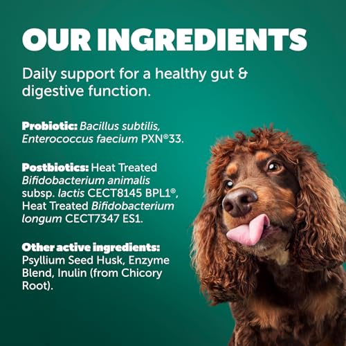 Protexin Daily Care Gut+ Digestive, 60 probiotic and postbiotic Dog Supplement Chews – Chicken and Carob Flavored