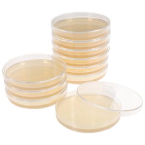 totority potato dextrose agar petri dishes - prepoured potato dextrose agar (pda) - for mushrooms, home test kit, or for science fair projects, petri dishes with agar