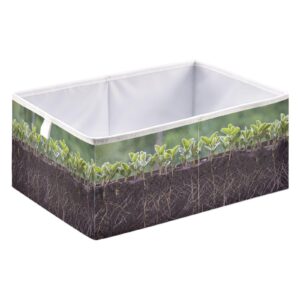 qugrl fresh green soybean storage bins plants with roots foldable storage basket fabric storage box organizer for clothes toys books drawers under bed 15.75 x 10.63in