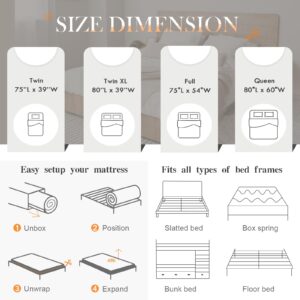 Gegcucey Twin XL Mattress, Innerspring Mattress with Breathable Foam and Pocket Spring for Motion Isolation, Medium Firm Hybrid Mattress in a Box (12 Inch, Twin XL