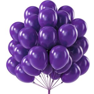 partywoo royal purple balloons, 101 pcs 12 inch purple balloons, dark purple balloons for balloon garland balloon arch as party decorations, wedding decorations, baby shower decorations, purple-y16