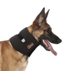 foxfocus dog neck braces providing support for dogs with vertebral neck injuries, sprains, and instability, while preventing biting and licking for effective wound healing