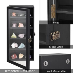 Ikee Design Wall Mounted Wooden Collectible Display Case 5 Shelf Display Storage Accessories Display with Tempered Glass Door, Black Color