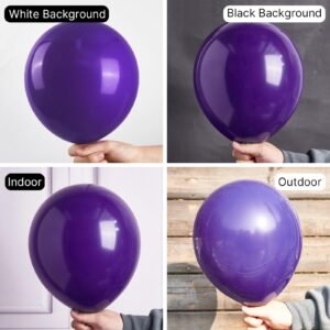 PartyWoo Royal Purple Balloons, 101 pcs 12 Inch Purple Balloons, Dark Purple Balloons for Balloon Garland Balloon Arch as Party Decorations, Wedding Decorations, Baby Shower Decorations, Purple-Y16