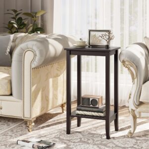 FOTOSOK Tall End Table with 2-Tier Storage Shelf, Small Sofa Side Table Nightstand for Living Room Hallway Small Spaces, Dark Brown