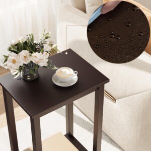 FOTOSOK Tall End Table with 2-Tier Storage Shelf, Small Sofa Side Table Nightstand for Living Room Hallway Small Spaces, Dark Brown