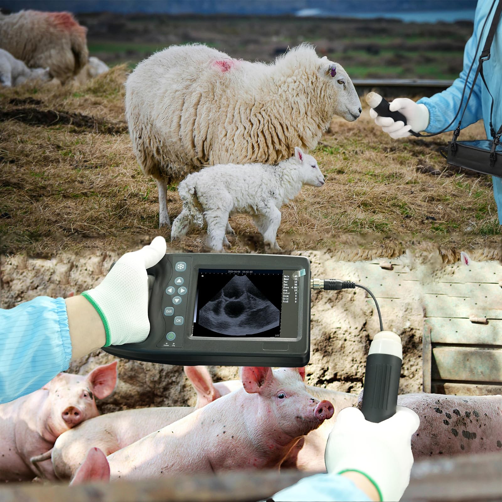 M6 Portable Veterinary Ultrasound Scanner 5.7" LED Display for Pregnancy Pig Sheep Goat Use Only Vet Handheld Scanner with Mechanical Probe