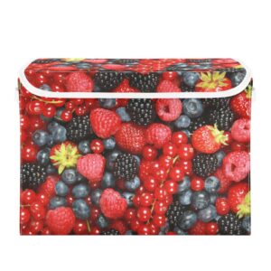 VIGTRO Large Collapsible Storage Bins with Lids Strawberry Berries Fruits, Storage Baskets Organizer Containers with Handles for Home Bedroom Office