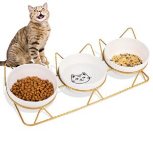 wedding pails elevated cat bowls with 3 ceramic bowls,5 inches food & water bowls 15° tilted raised feeding dishes with metal stand for multiple cats dog pet, gold