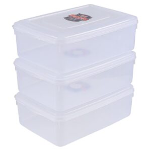 dehouse 3 pack clear storage bins with lids, 10 l plastic storage bins