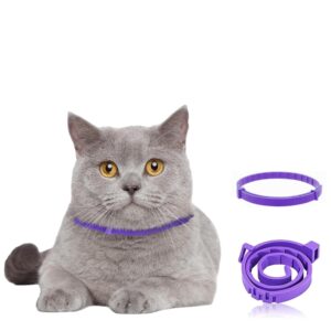 calming collar for cats | 60 days of effective stress and anxiety relief with efficient quick release pheromones | soothing comfort, long-lasting calm that reduces stress and helps calm cats anxiety