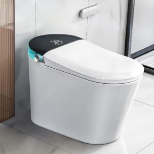 smart toilet with build-in bidet seat, tankless toilet with auto-opening and closing lid, auto flushing, heated seat, warm water bidet, air dryer, led display, and remote control