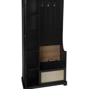 SPOFLYINN 0717-B0CRKLBTS6 Door Closet, One Size, Black as Shown