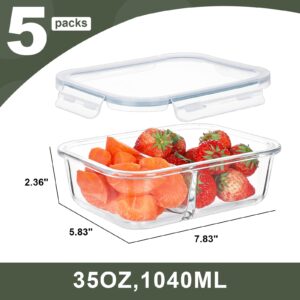 BAYZZ 35 Oz Glass Meal Prep Containers 2 Compartments, 5 Packs Glass Food Storage Containers with Lids, Glass Bento Lunch Box-Dishwasher, Freezer & Microwave Safe