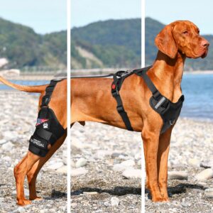 virbraroo dog leg brace for torn acl hind leg,8x support dog knee brace with metal strips for joint pain relief, rear leg brace with adjustable traction belt for cruciate ligament injury (l)