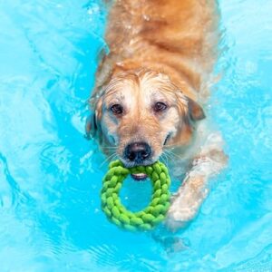 Hydrodogz [3 Pack Floating Tuggies Dog Tug Rope Toy Assortment Bundle for Small Medium and Large Dogs, Natural Cotton Teething Interactive Strong Durable Fetch Chew Toys (Large Ring)