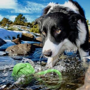 Hydrodogz [3 Pack Floating Tuggies Dog Tug Rope Toy Assortment Bundle for Small Medium and Large Dogs, Natural Cotton Teething Interactive Strong Durable Fetch Chew Toys (Large Ring)